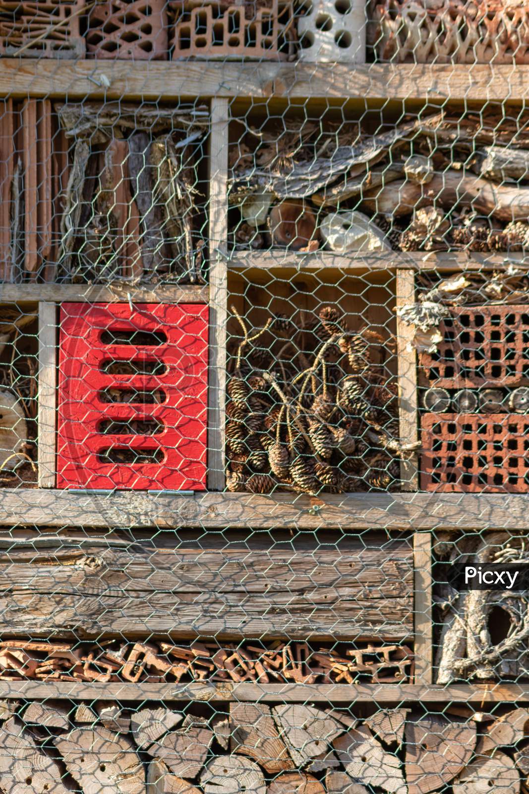 Image of Organic bee hotel as nesting place with holes in wood for ...