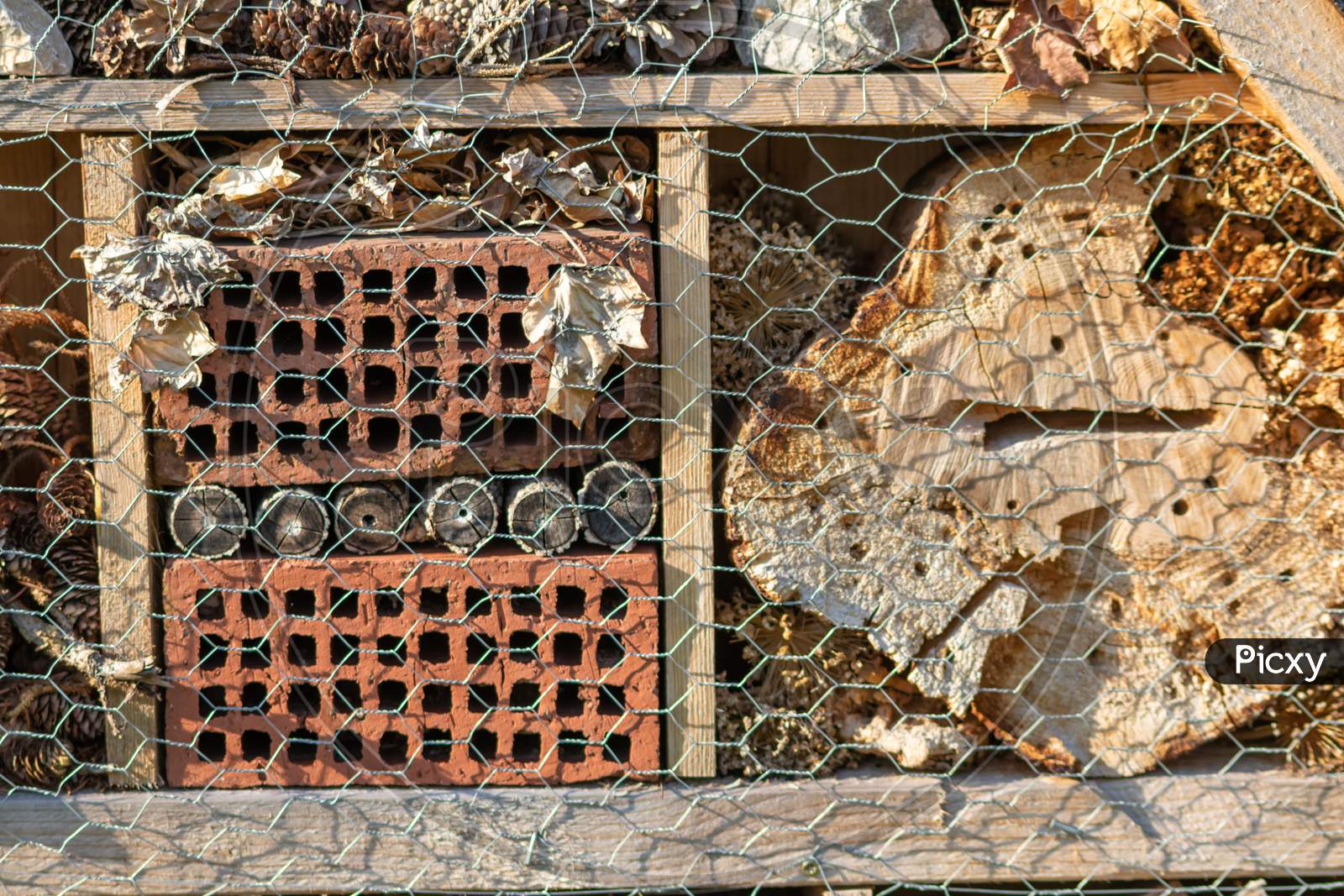 Image of Organic bee hotel as nesting place with holes in wood for ...