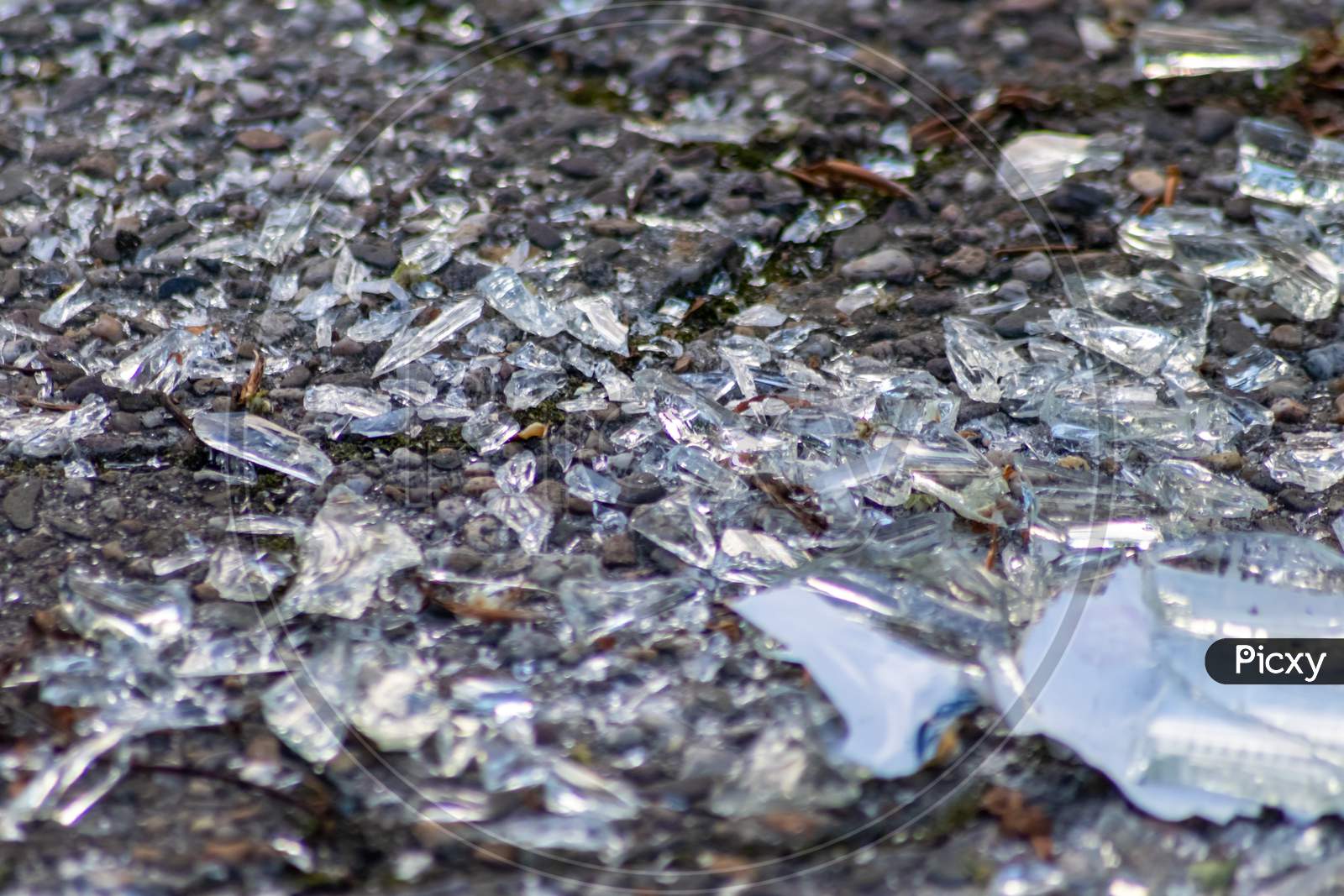 Image of Sharp shards of a broken glass bottle on the ground with sharp ...