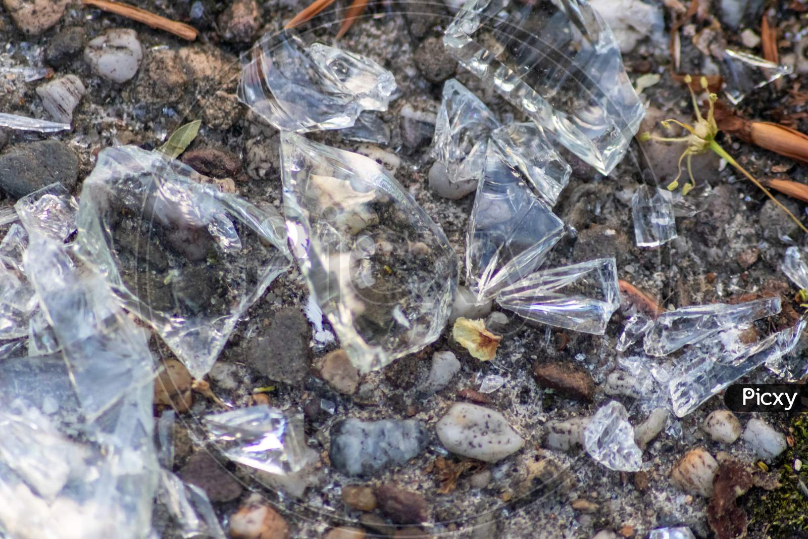 Image of Sharp shards of a broken glass bottle on the ground with sharp ...
