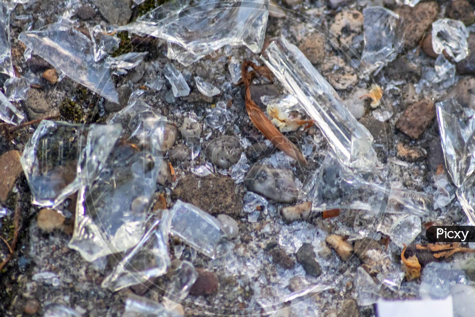 Image of Sharp shards of a broken glass bottle on the ground with sharp ...
