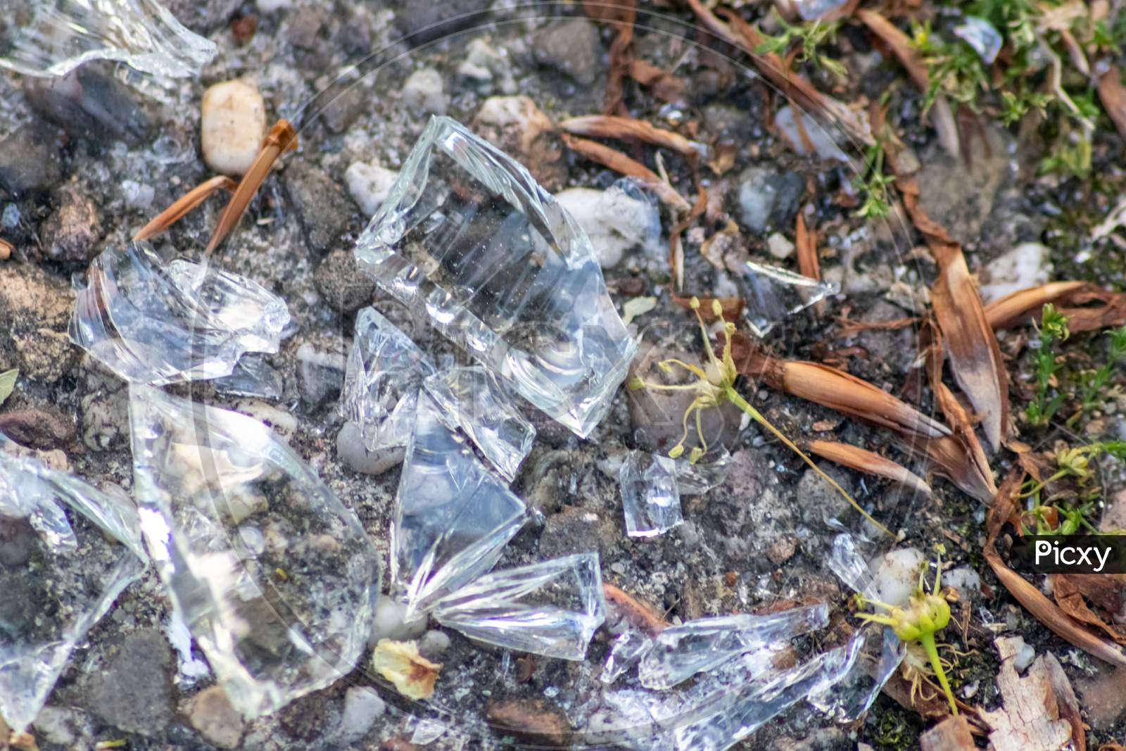 Image of Sharp shards of a broken glass bottle on the ground with sharp ...