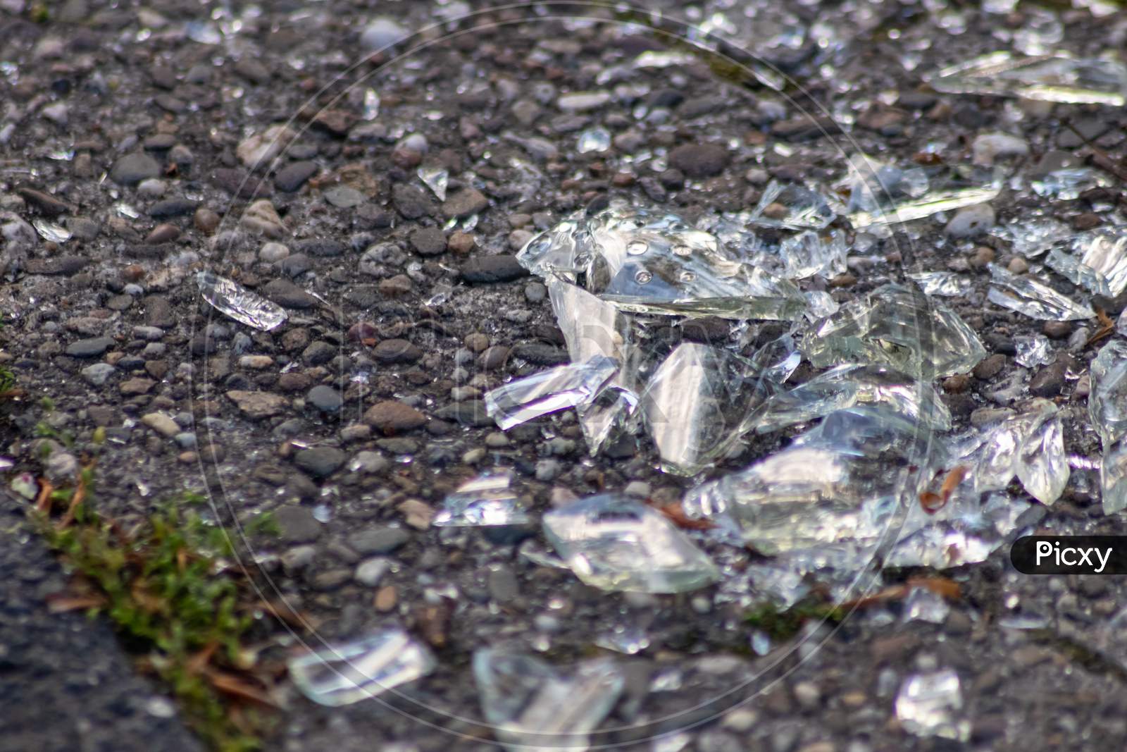 Image of Sharp shards of a broken glass bottle on the ground with sharp ...