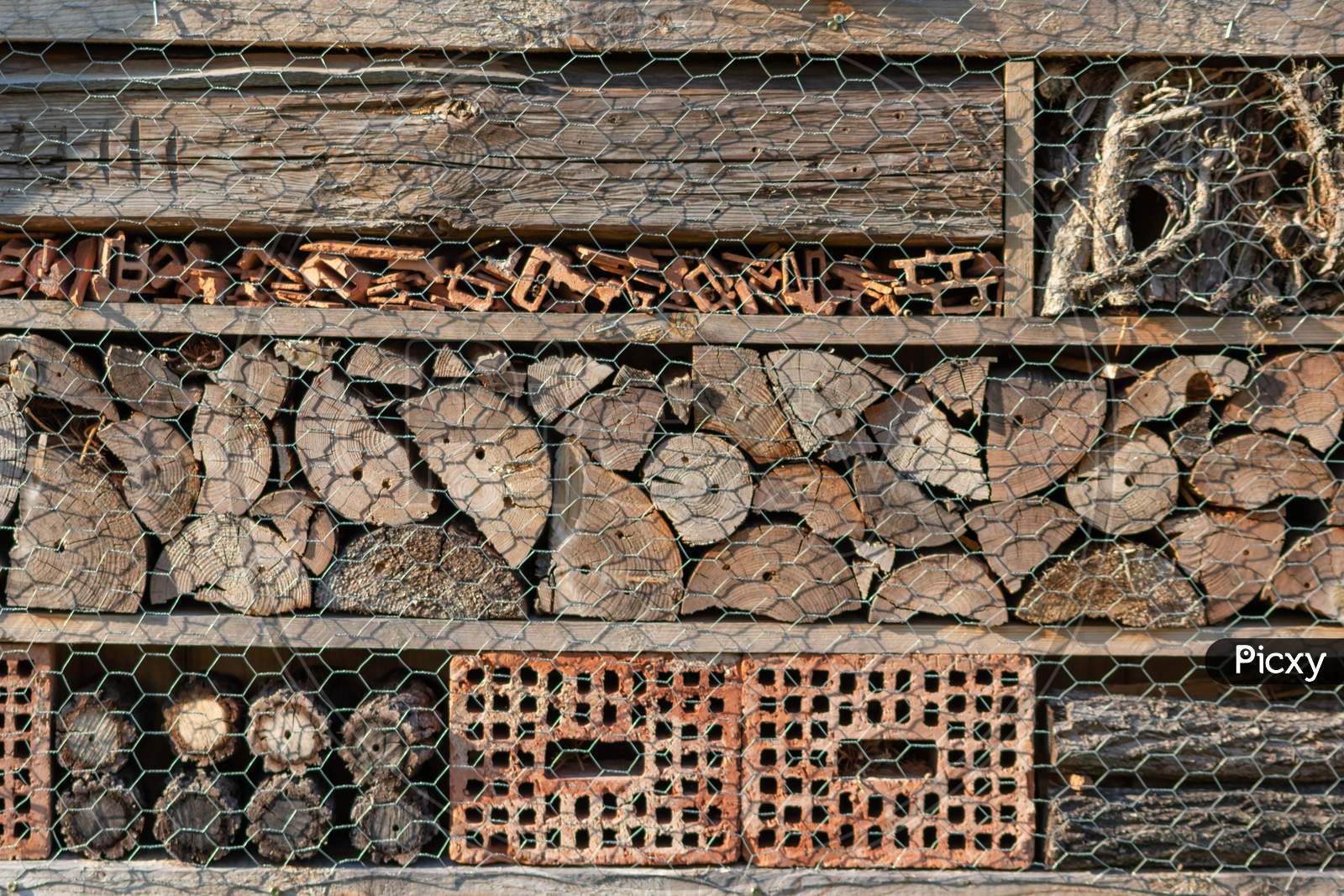 Image of Organic bee hotel as nesting place with holes in wood for ...