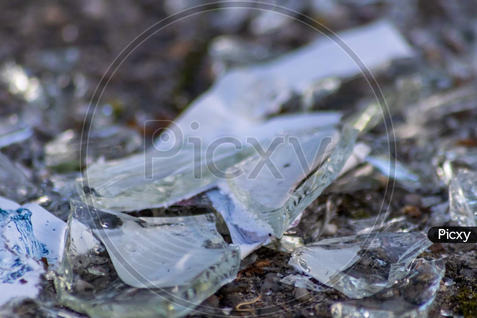Image of Sharp shards of a broken glass bottle on the ground with sharp ...