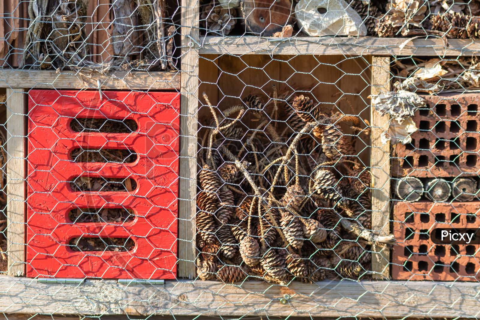 Image of Organic bee hotel as nesting place with holes in wood for ...