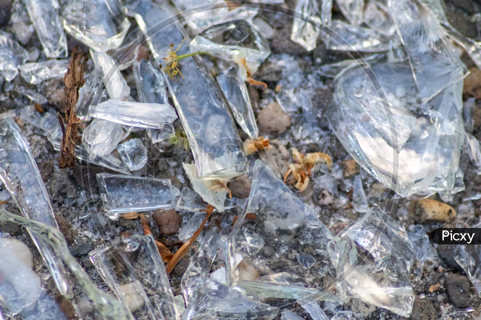 Image of Sharp shards of a broken glass bottle on the ground with sharp ...