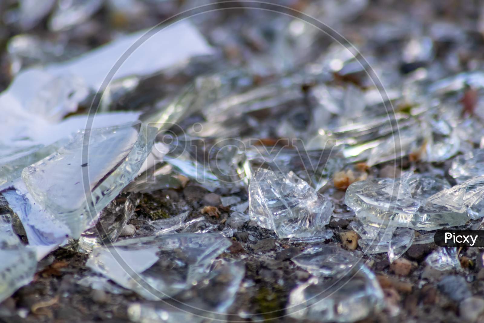 Image of Sharp shards of a broken glass bottle on the ground with sharp ...