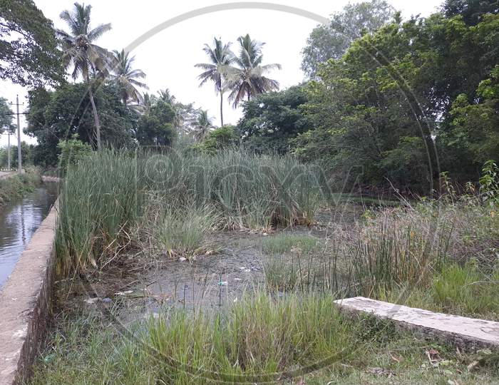 Image of Closeup of beautiful crystal clear lake or pond water flowing ...