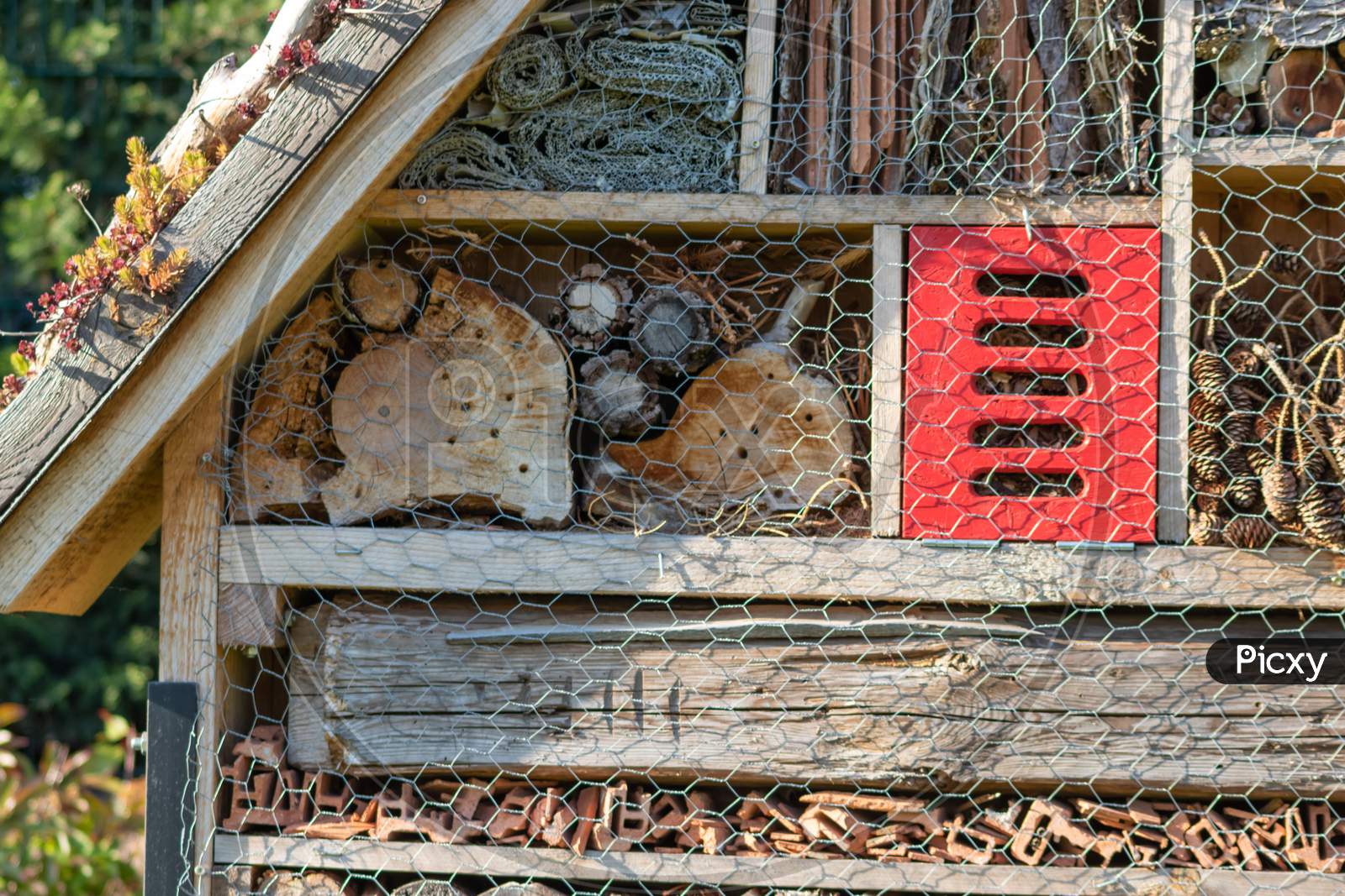 Image of Organic bee hotel as nesting place with holes in wood for ...