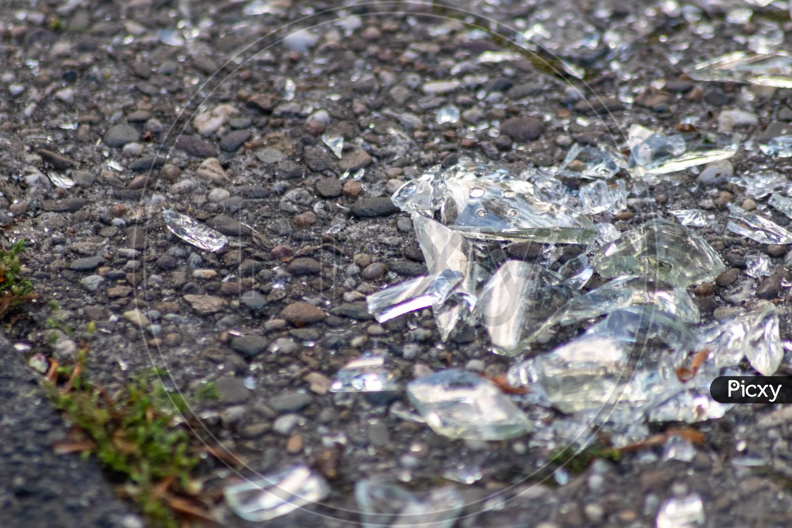 Image of Sharp shards of a broken glass bottle on the ground with sharp ...