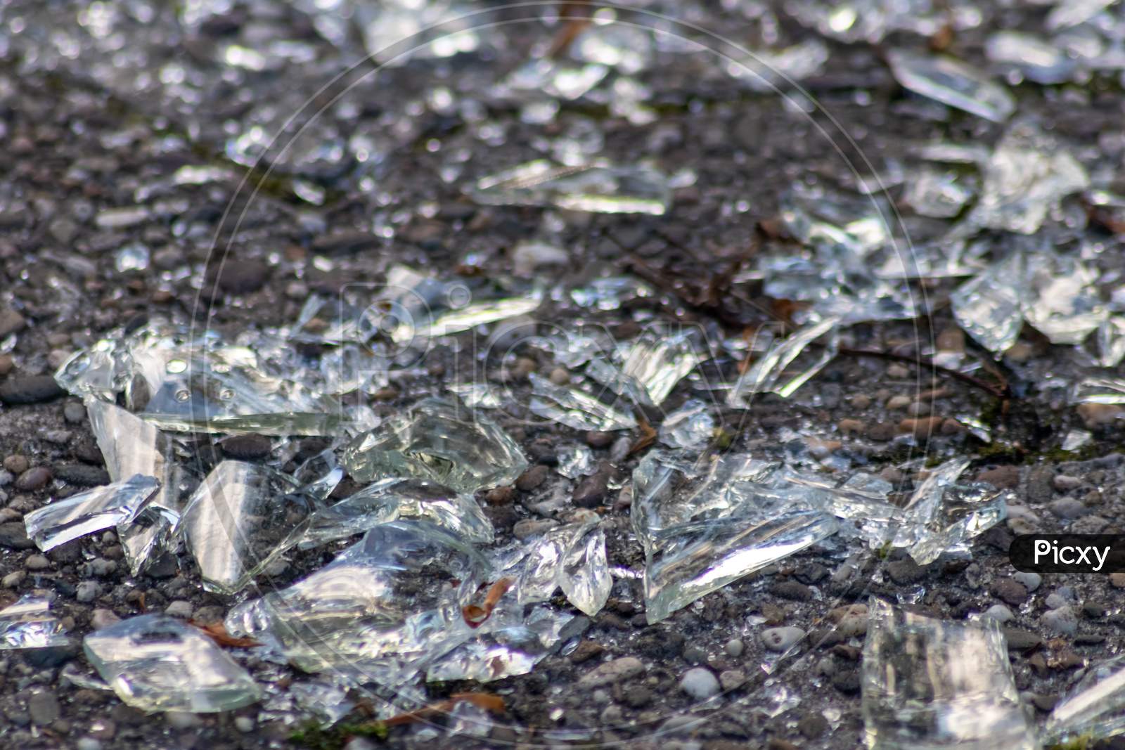 Image of Sharp shards of a broken glass bottle on the ground with sharp ...