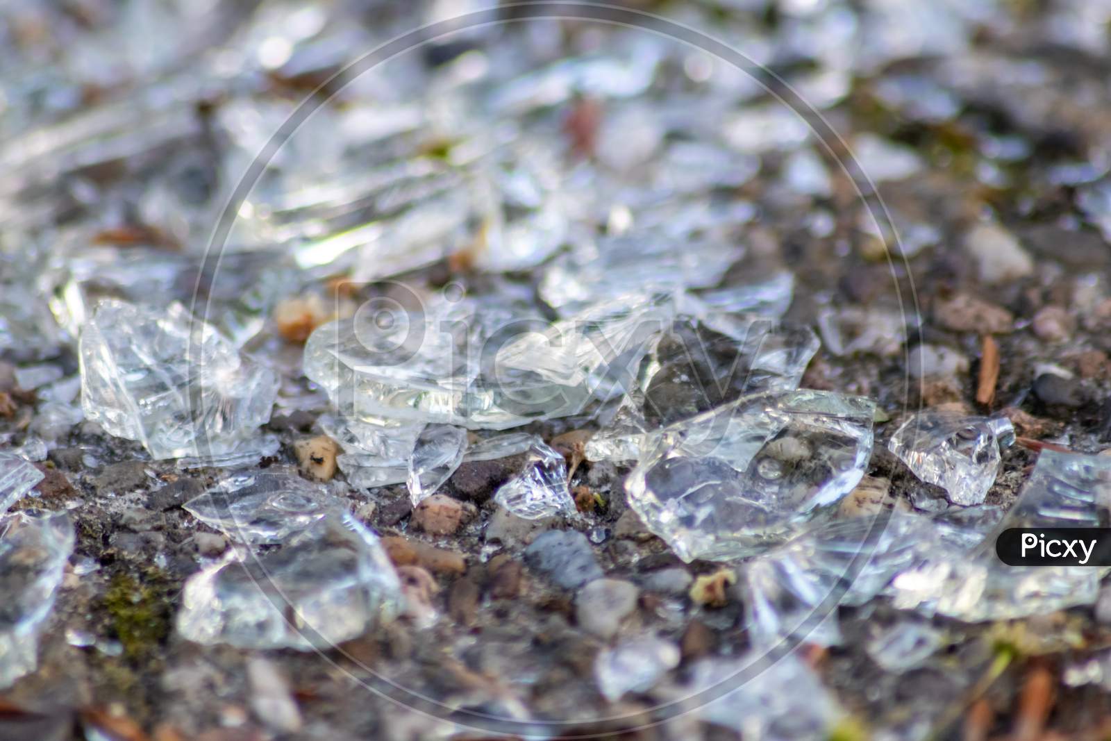 Image of Sharp shards of a broken glass bottle on the ground with sharp ...