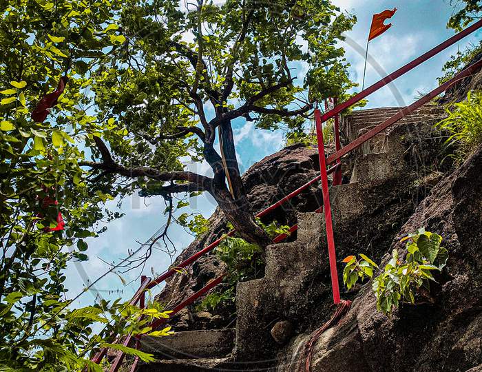 Image of Sarola forest-LJ348240-Picxy