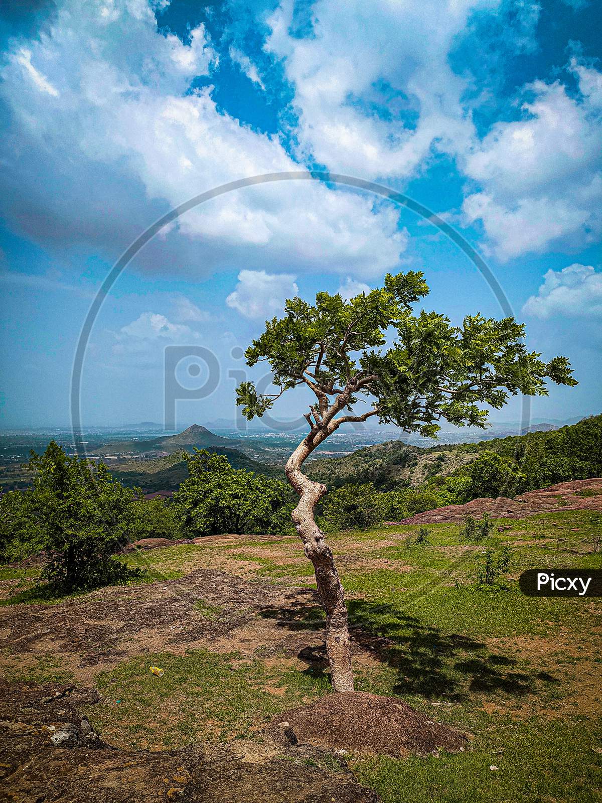 Image of Sarola forest-LJ348240-Picxy