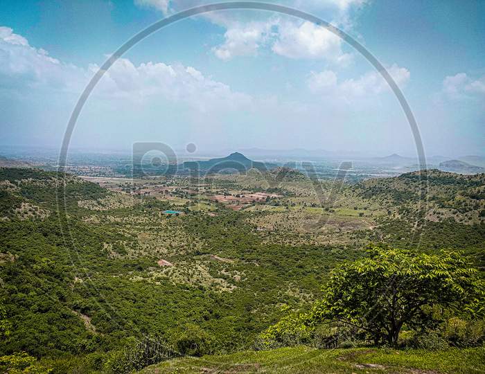Image of Sarola forest-LJ348240-Picxy