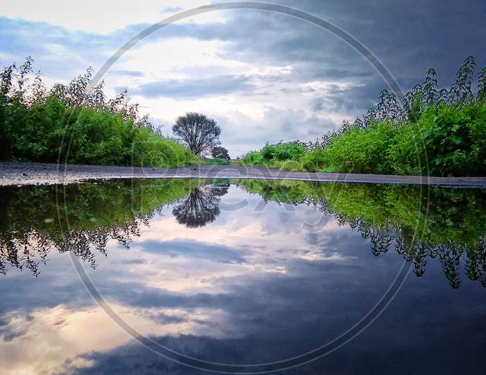 Image of Nature reflect in water-IA184921-Picxy