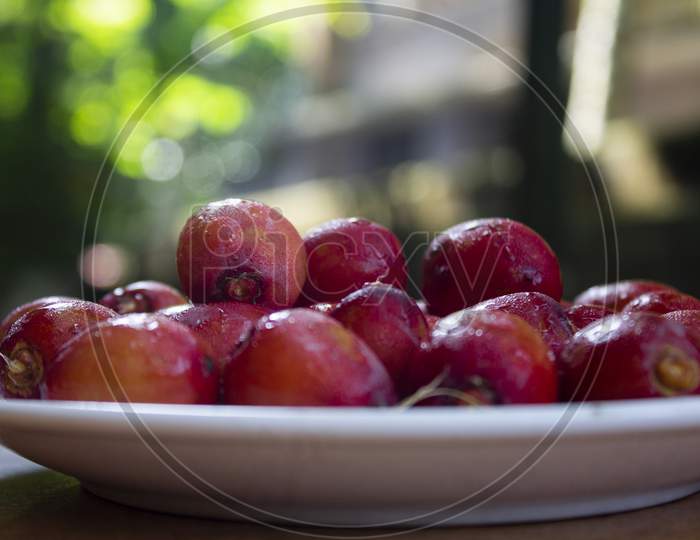 Image of Red dates isolated on a ceramic plate-XU137797-Picxy