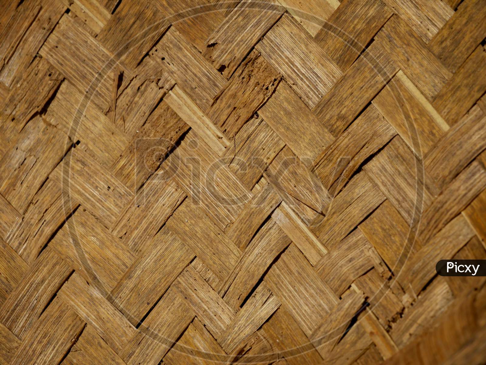 Bamboo Wood Texture