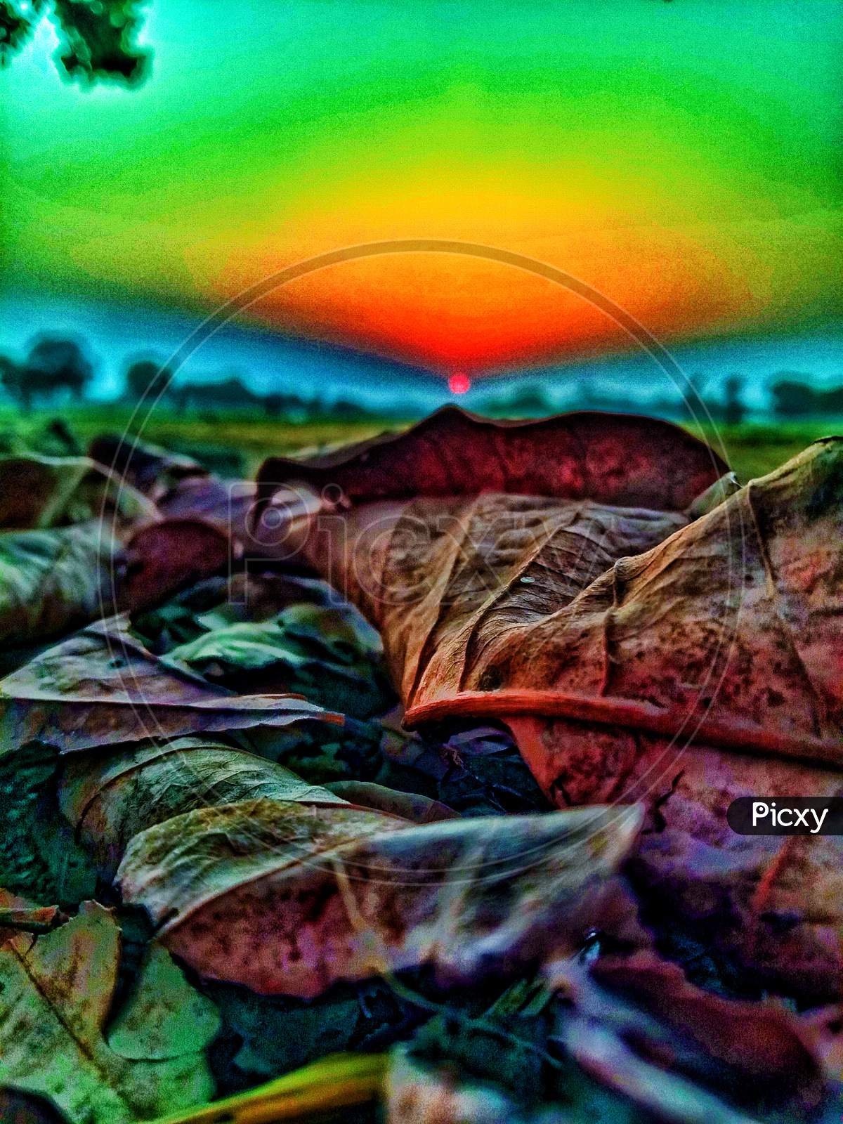 Image of Nature on evening time-AU966323-Picxy