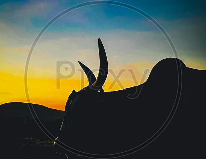 Image of Nh6-FL683224-Picxy