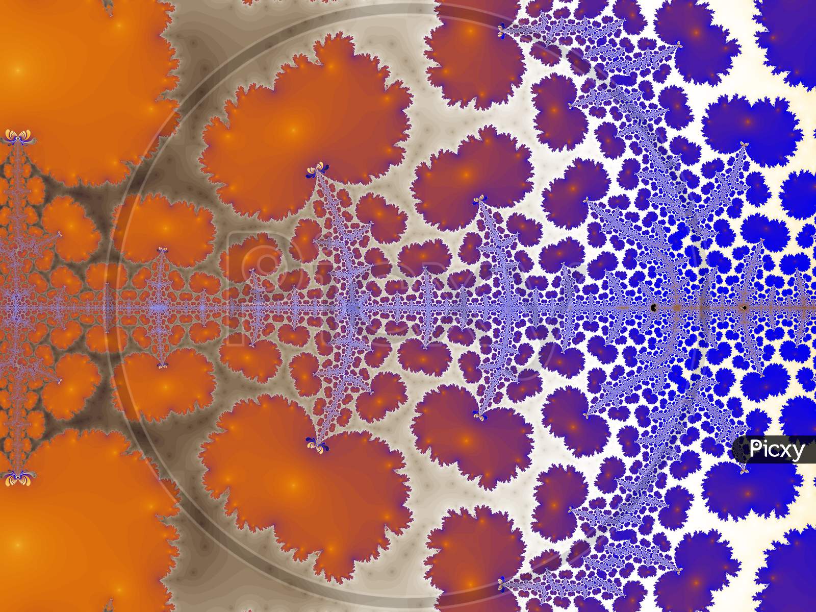 Image of Beautiful Zoom Into An Infinite Mathematical Fractal Set ...