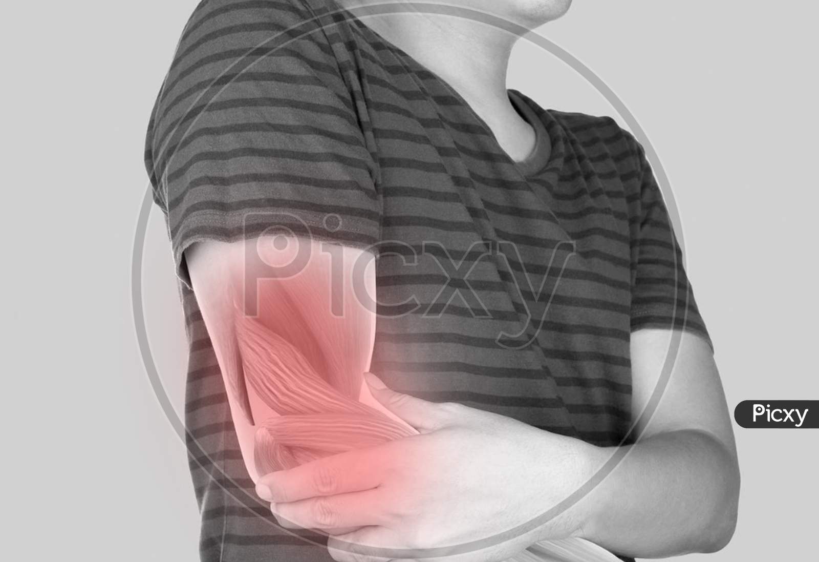 Image of man feel pain elbow , x-ray elbow muscle injury-BY044534-Picxy