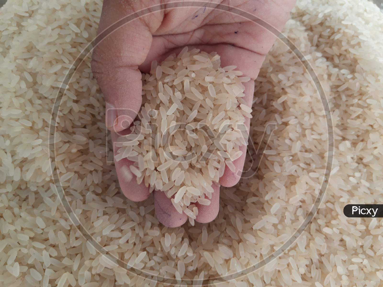 Image of Save grain concept.-JB482383-Picxy