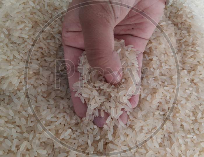 Image of Save grain concept.-GE227266-Picxy