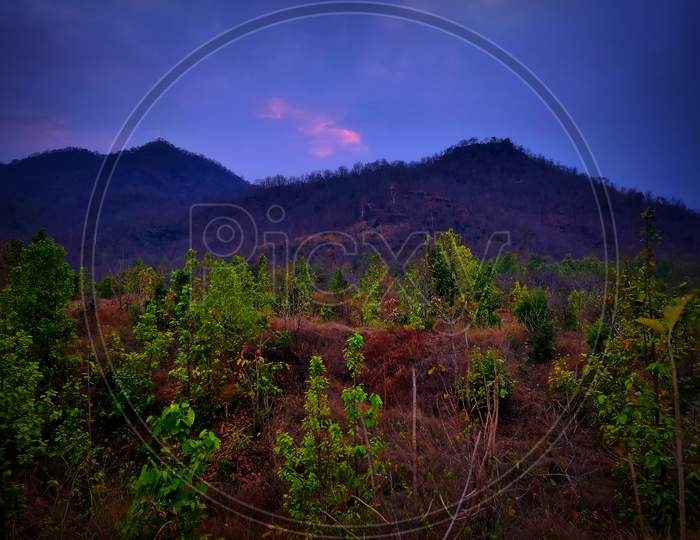 Manas Bag photos on Picxy