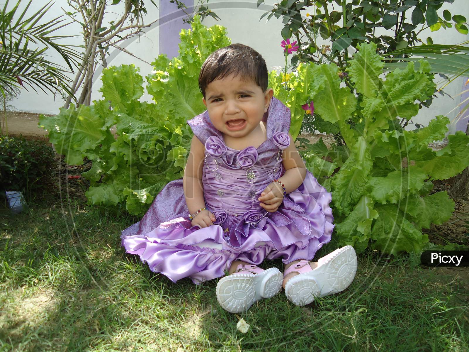 Image of baby-YF269549-Picxy