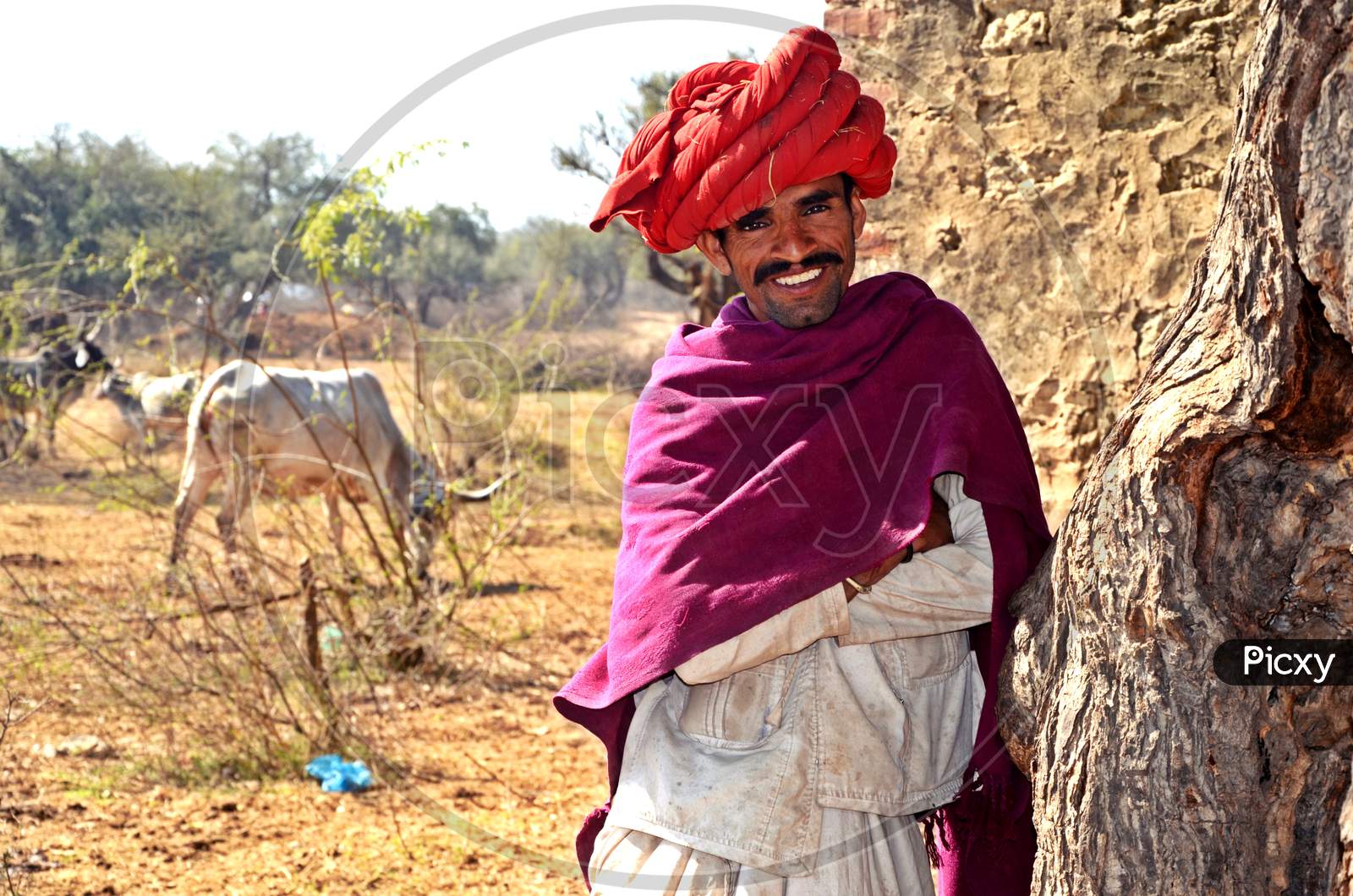 Image of gypsy man-ZX579481-Picxy