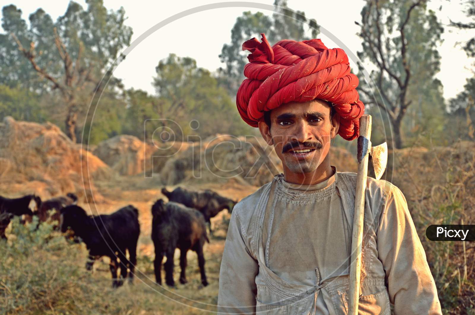 Image of gypsy man-OD004723-Picxy