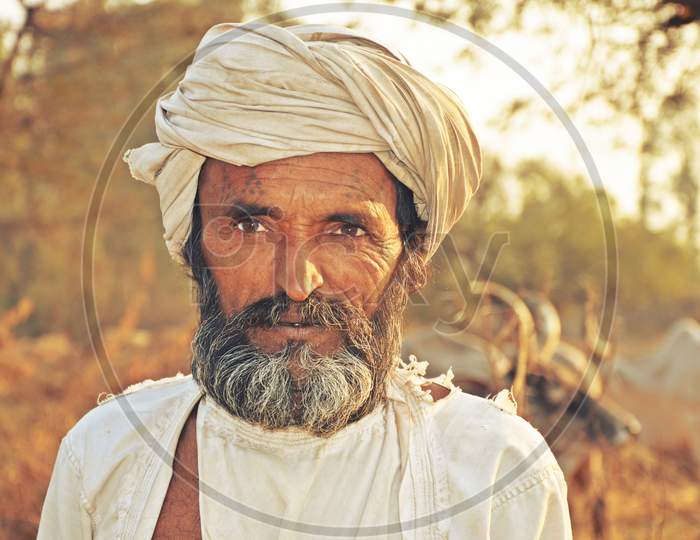 Image of portrait of gypsy man-XB116405-Picxy