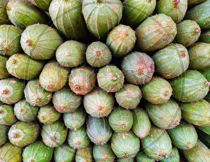 Image of Ridge Gourd Or Janhi Or Turai Arranged In Row In Indian ...