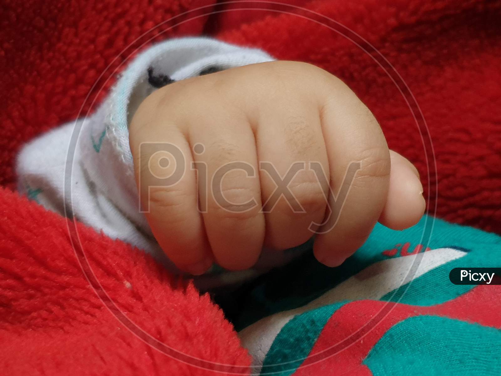 Image of Hands Of Small New Born Child-FJ416356-Picxy