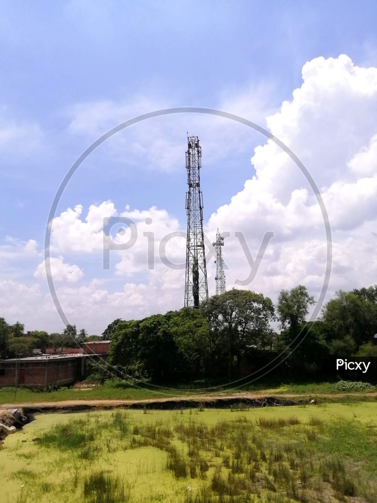 Image of Ashish photographer-TU008872-Picxy