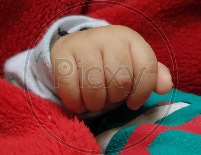 Image of Hands Of Small New Born Child-FJ416356-Picxy