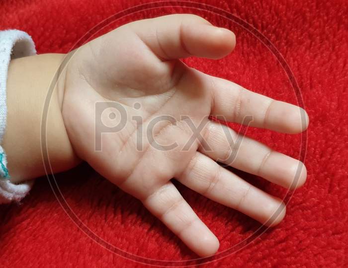 Image of Hands Of Small New Born Child-FJ416356-Picxy