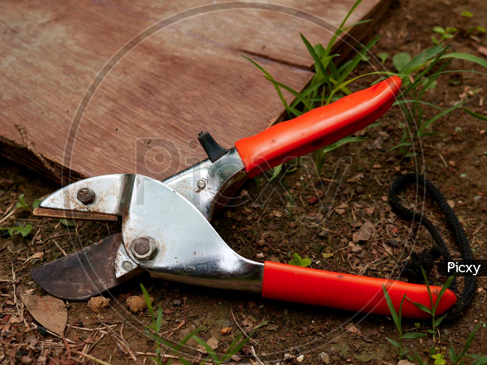 Image of Special Pliers Hardware Tool Presented On Soil Field With ...