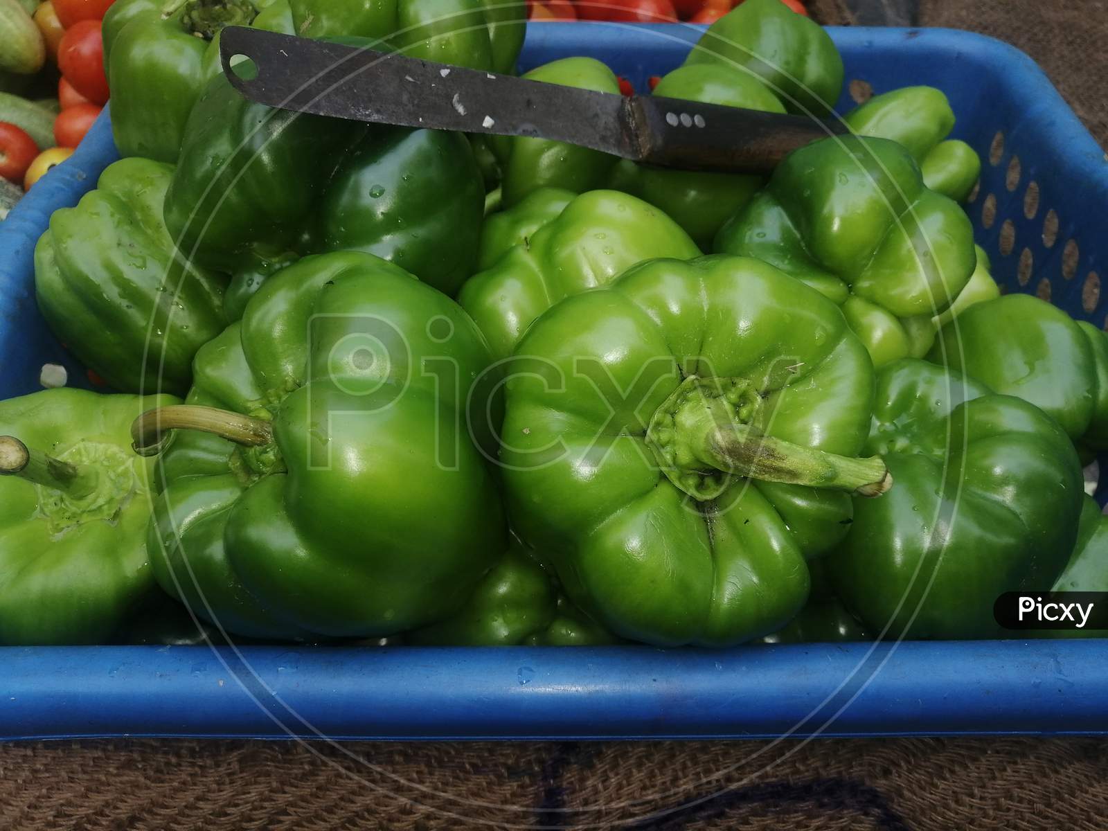 Image of Indian green vegetables shimla mirch,-KN243461-Picxy