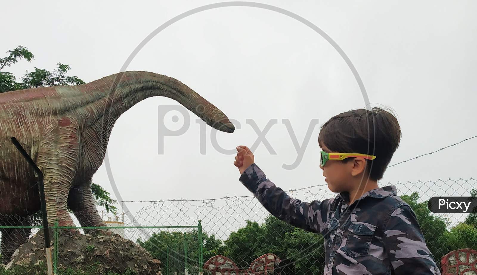 Image of dinosaur-ZB829457-Picxy