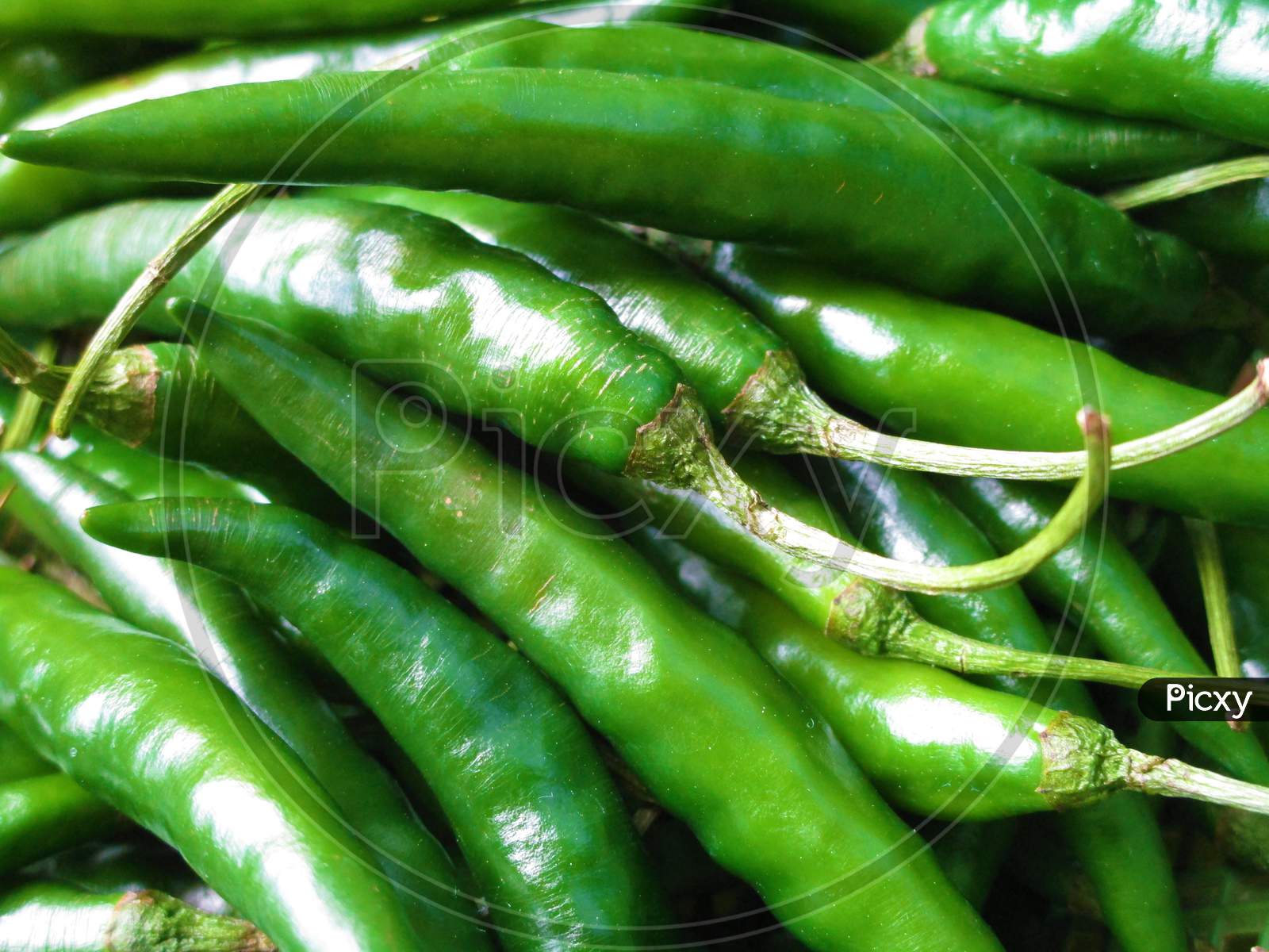 Image of Photo of a bunch of green chili pappers.-VK505194-Picxy