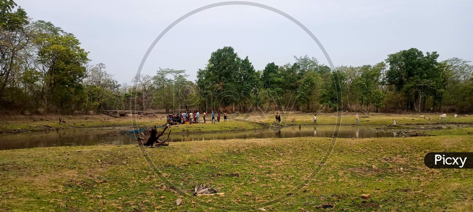 Image of Natural environment , crowd-MT860099-Picxy