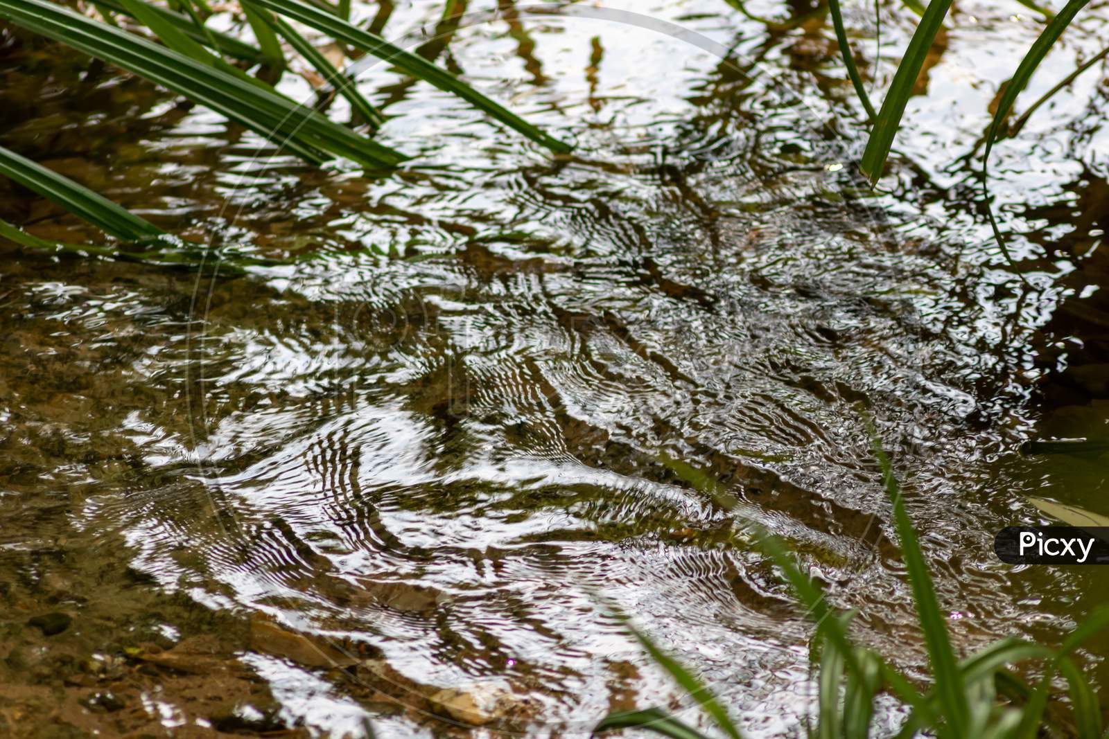 Image of Silky ripples in water of a crystal clear water creek as ...
