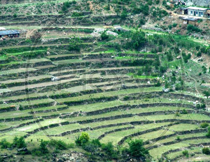 Image of Step Cultivation-MC289623-Picxy