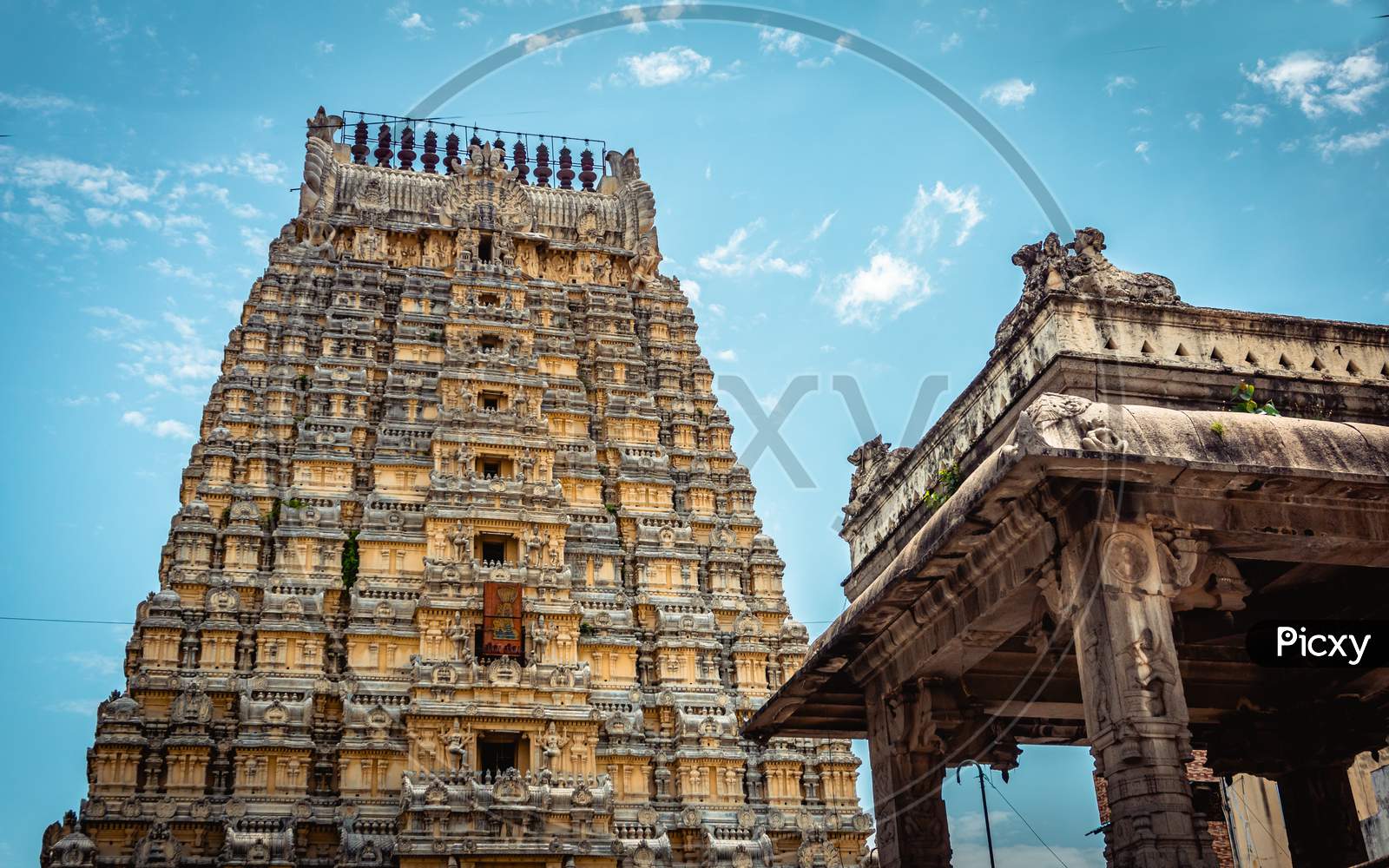 Image of Entrance tower ( Gopuram) of Ekambareswarar Temple, Earth ...