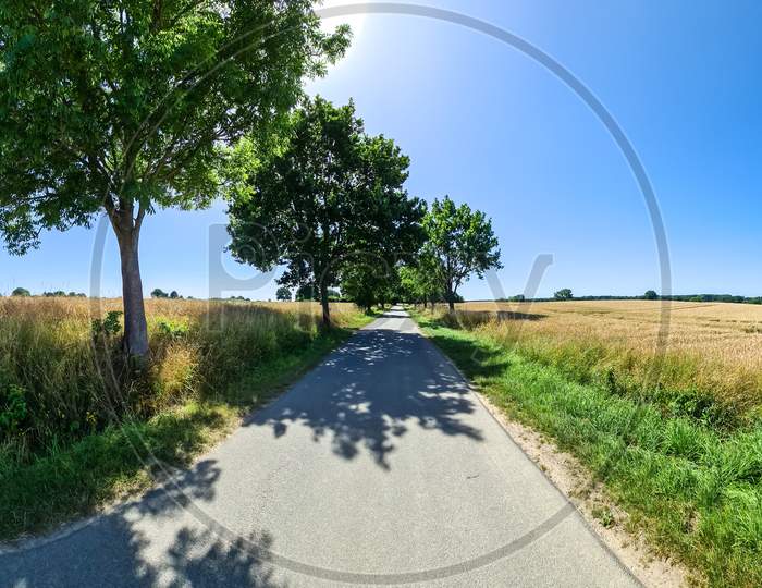 Image of Panorama Of Countryside Roads With Fields And Trees In ...