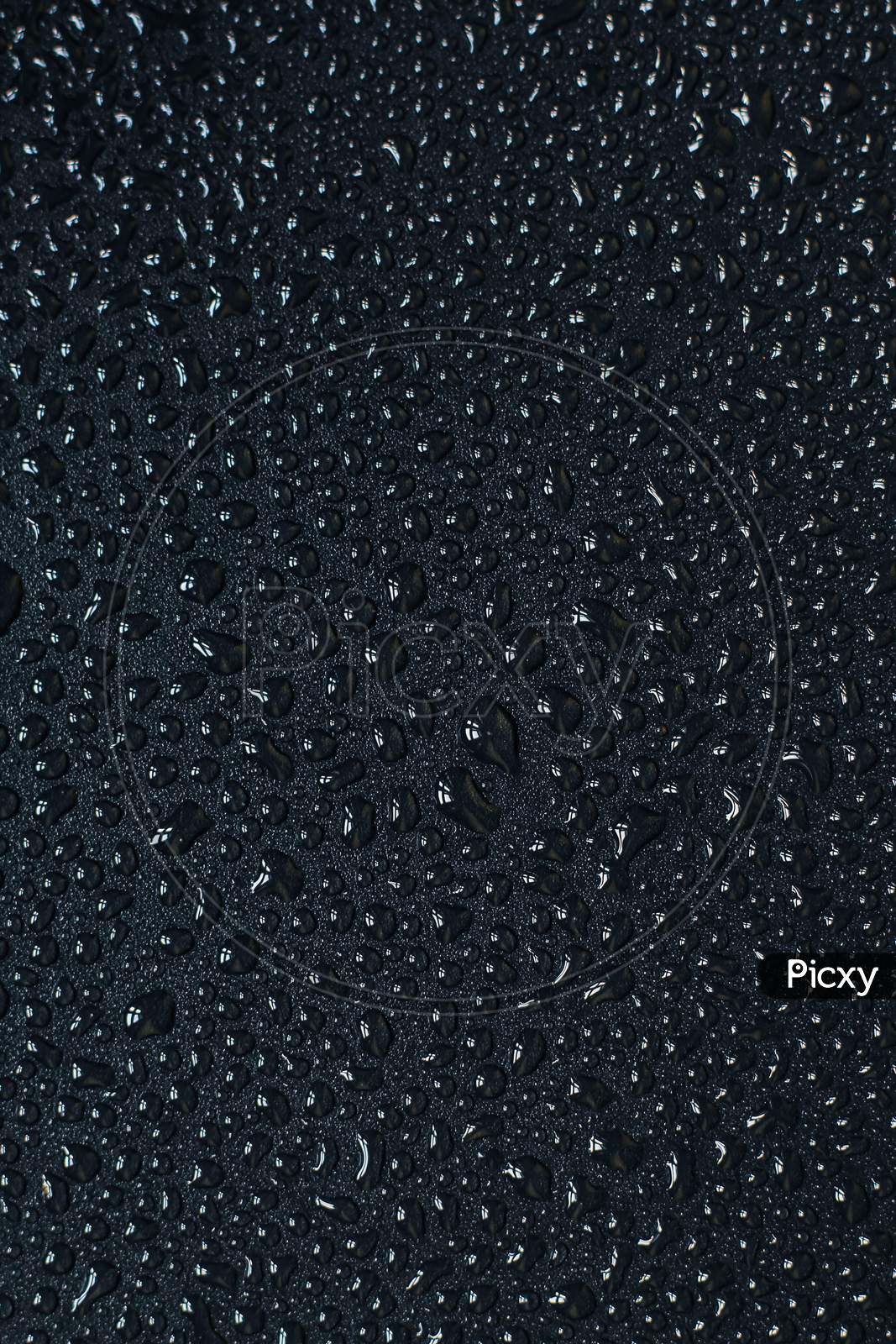 Image of Water droplets on black background. Close-up photo of small ...