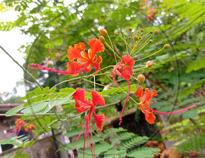 Music Beat photos on Picxy